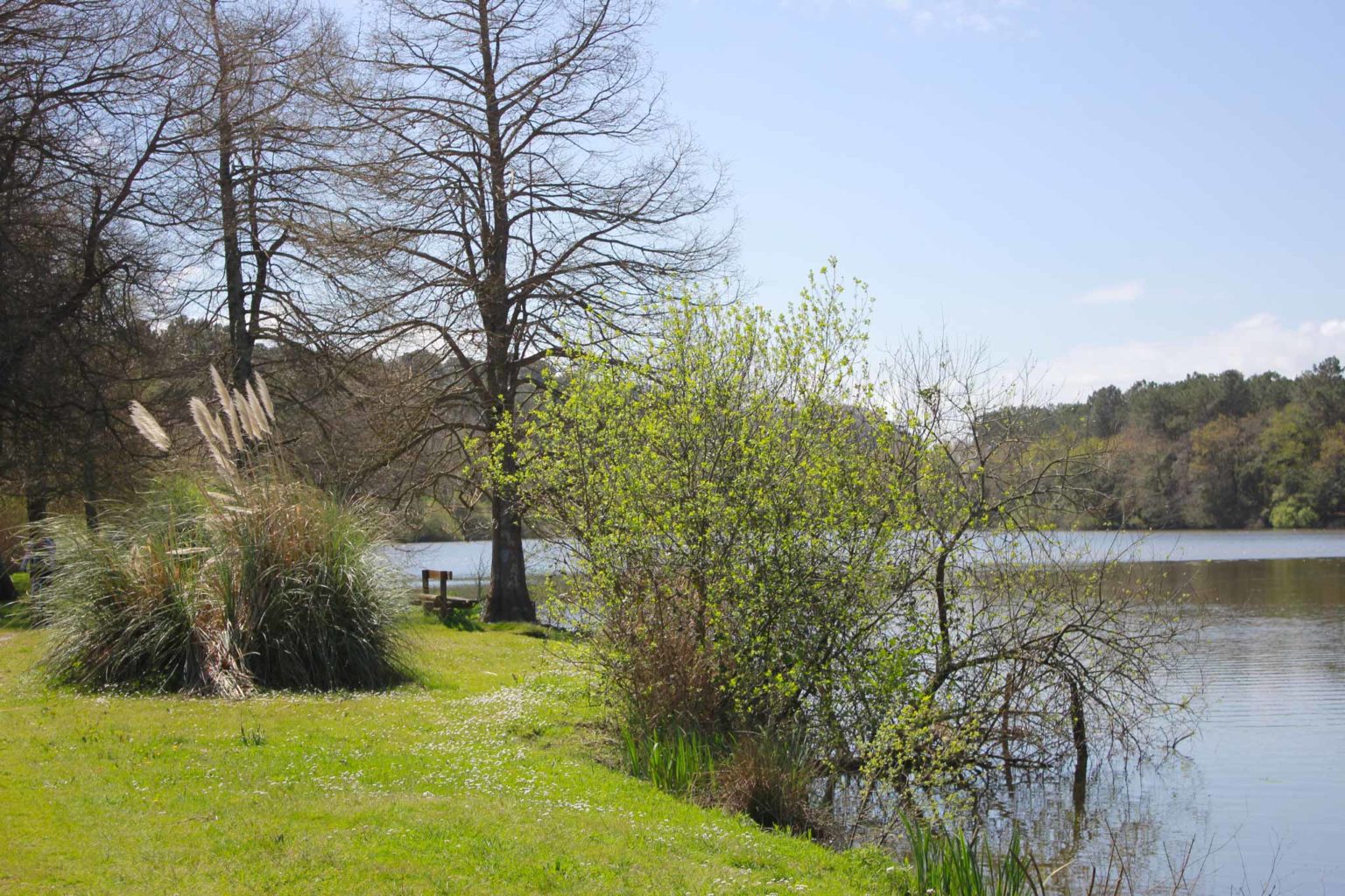 Ondres, vous avez dit Ondres ! - Ondres